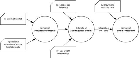 Steps Needed For The Calculation Of Production Estimates For A Species Download Scientific