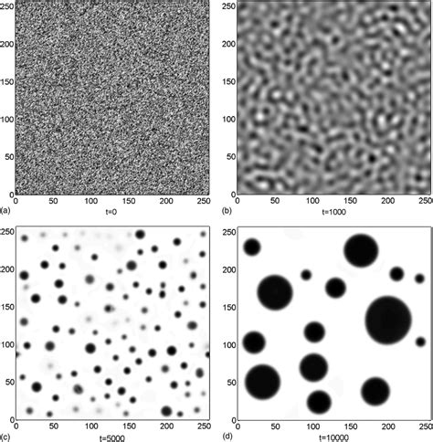 the density distributions of the binary mixture with m 0 1 0 m 1