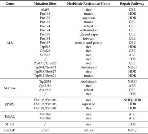 5g育种技术之植物性状订制 知乎