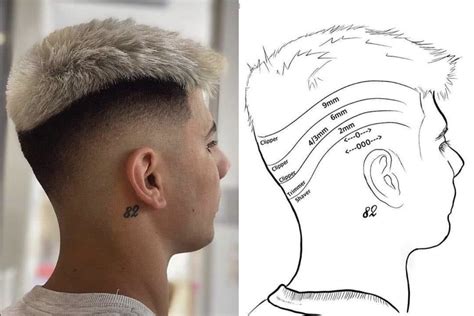 Fade Guidelines Hair Fading Guide Straight Line Beard Barbering