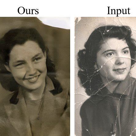 Limitation Our Method Cannot Handle Complex Shading Artifacts Download Scientific Diagram