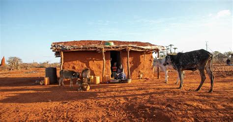 Advancing Climate Resiliency To Support Thriving Farmer Livelihoods Zoetis