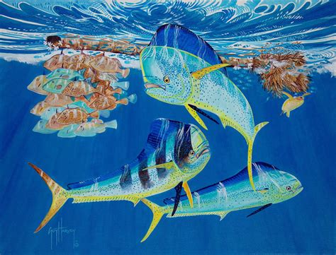 Original Artwork Marine Wildlife And Fish Art Guy Harvey Guy Harvey