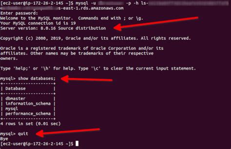 Amazon Linux Ami Install Mysql Client Programs For Rds Nixcraft