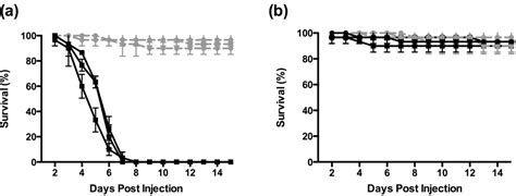Figure 2 From Characterization Of Infection In Drosophila Following