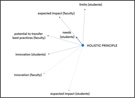 Holistic Principle Code Co Occurrence Analysis Force Directed Graph
