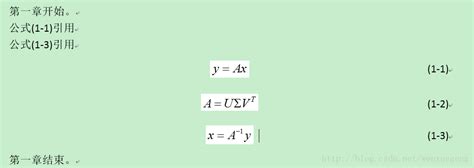 word利用mathtype进行公式分章节编号和引用 mathtype分章符号 csdn博客