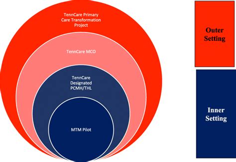 Levels Of Implementation Assessment Download Scientific Diagram