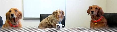 Contact Us Code 3 Associates