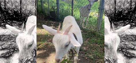 opencvを使って動画から画像を出力してみよう 株式会社グローバルウェイ ビジネスアプリケーション事業本部