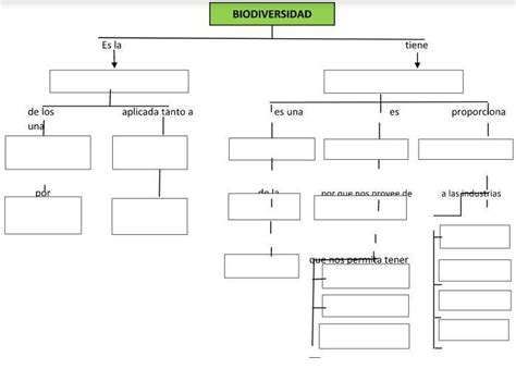 Completa El Siguiente Esquema Sobre El Término Biodiversidad Brainlylat