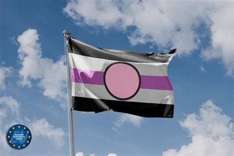 Fictosexuality Flag Unique Design Print High Quality Materials Size X Ft X Cm