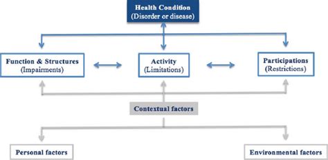 Icf Framework Adapted From World Health Organization 2002 [12] Download Scientific Diagram