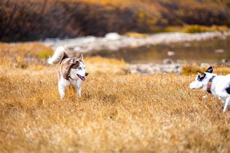 Daniel Mcenrue Photography