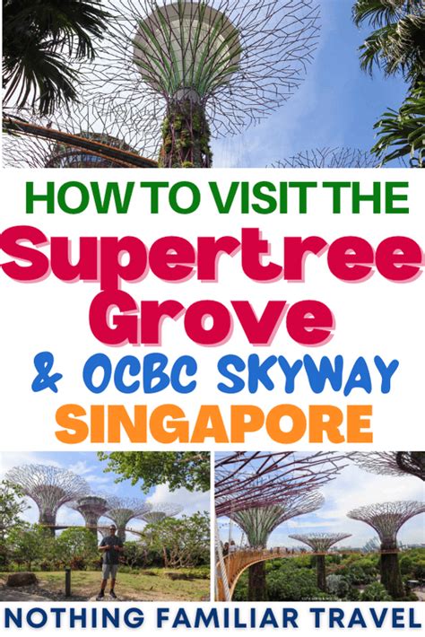how to walk the ocbc skyway at supertree grove