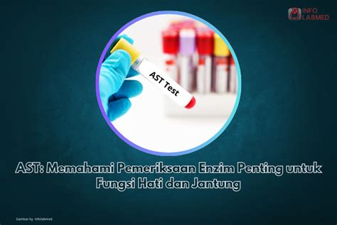 Ast Memahami Pemeriksaan Enzim Penting Untuk Fungsi Hati Dan Jantung