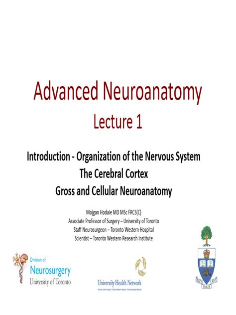Lecture 1 Neuroanatomy 2016 Pdf Cerebral Cortex Cerebrospinal Fluid