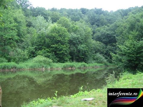 Lacuri Sovata Informatii Si Poze