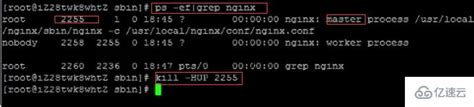 linux下nginx重启命令有哪些 建站服务器 亿速云