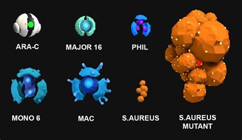 Immunology Story Fts Into Syd Fields Screenplay Structure For Flms