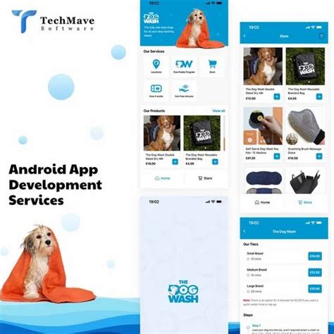 Ios Application Development Services At ₹ 100000month In New Delhi