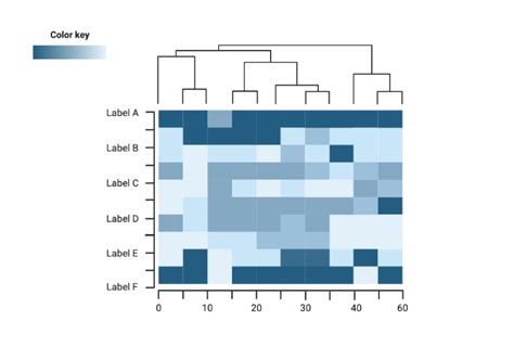 Heatmap 5 Layout BioRender Science Templates