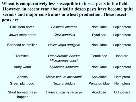 Insect Pests Of Maize Wheat And Ragi 1 Ppt Agriculture Industries