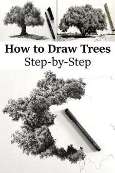 How To Draw Realistic Trees With Pen Ink Artofit