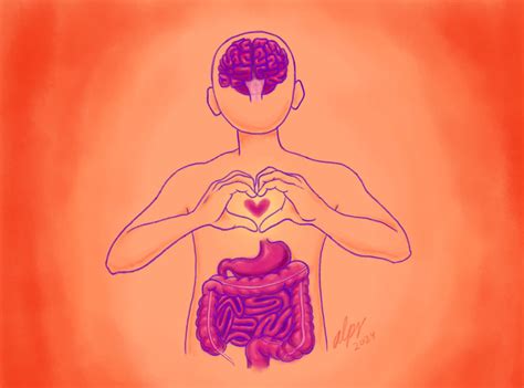 Why Your Gut Matters More Than You Think The Earth Chronicles