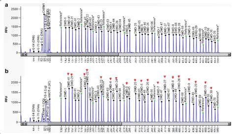 Mpla Results Of The Proband A Normal Control B Mpla Identified The Download Scientific