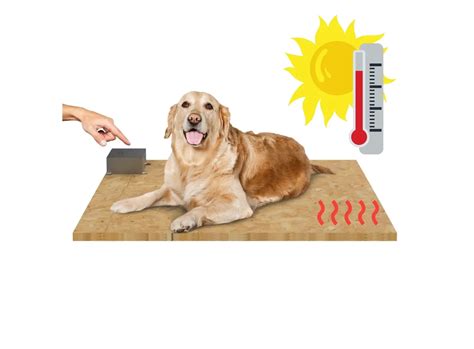 Incalzire Cusca Caine Talie Medie Control Manual