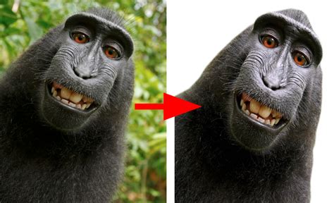 Kaggle Deep Learning To Create A Model For Binary Segmentation Of Car