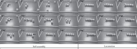 From Self Assembly To Locomotion Download Scientific Diagram