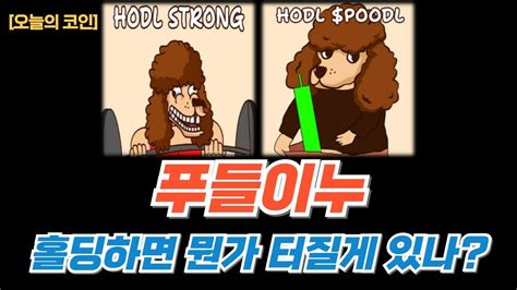 오늘의 밈코인 푸들이누가 바닥을 다지고 이제 본격적인 상승을 보여줄까 X를 통해서 홀딩을 계속 외치는 것은 분명 이유가