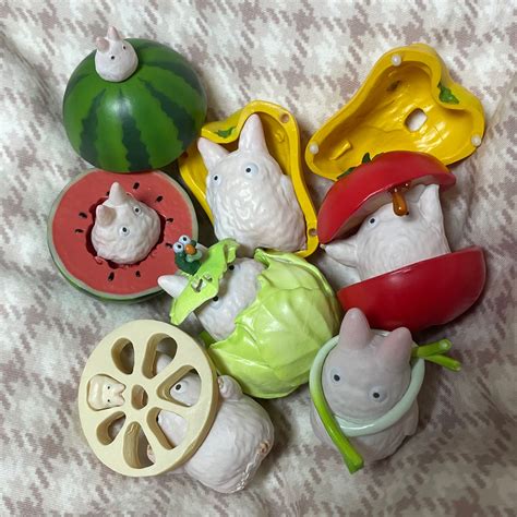 야채와 소토토로 콜리 Colley