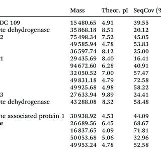 Differentially Expressed Proteins Graphical Representation Of Fold Download Scientific Diagram