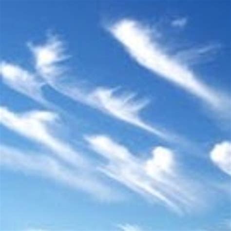 Stream Charles Lee Music Listen To Songs Albums Playlists For Free On Soundcloud