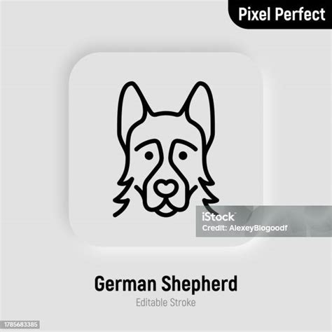 독일 셰퍼드 머리 얇은 선 아이콘입니다 개 품종 편집 가능한 획 벡터 일러스트 레이 션입니다 가축에 대한 스톡 벡터 아트 및 기타 이미지 Istock