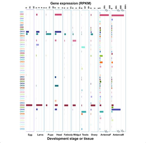 Expression Patterns Of Candidate Dendrolimus Punctatus Olfactory