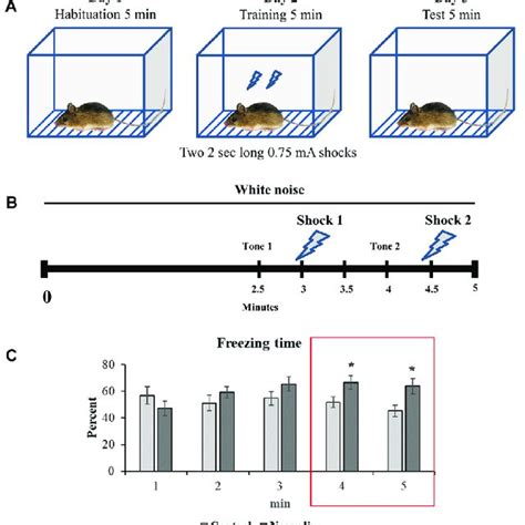 Contextual Fear Conditioning A Experimental Design B Fear