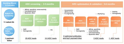 Adc Conjugation Antibody Drug Conjugate Services Adc