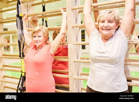 Back Exercises For Elderly Women