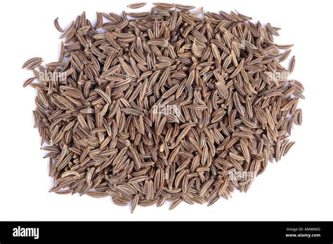 Caraway Seeds Carum Carvi Stock Photo Alamy