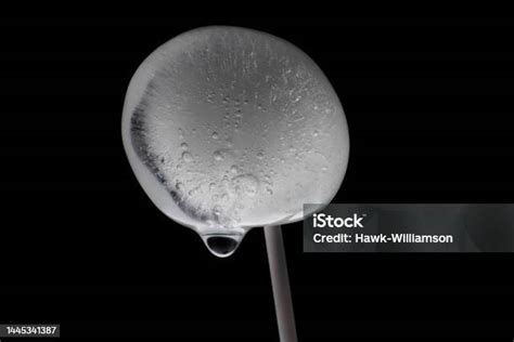 얼어붙은 얼음 공 큰 우박 폭풍이 녹고 열대 지방의 폭풍 후에 뚝뚝 떨어지다 0명에 대한 스톡 사진 및 기타 이미지 0명 각얼음 검은색 Istock