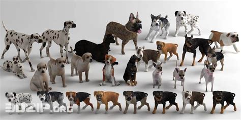 5 Ideas For Thangs 3d Model Search