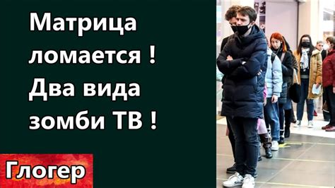 Матрица ломается Два вида зомби Простейшая программа на жизнь Майами американцы Флорида