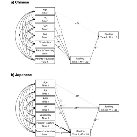 Baseline Model For The Relations Between Cognitive Linguistic