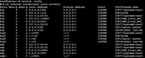 How To Use The Netstat Command In Linux
