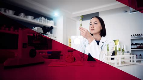 Crispr Diagnostics A Biotechnology Breakthrough In Disease Detection