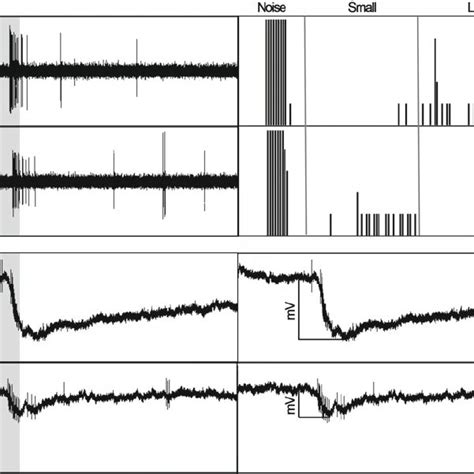 Pdf Electroantennogram And Single Sensillum Recording In Insect Antennae